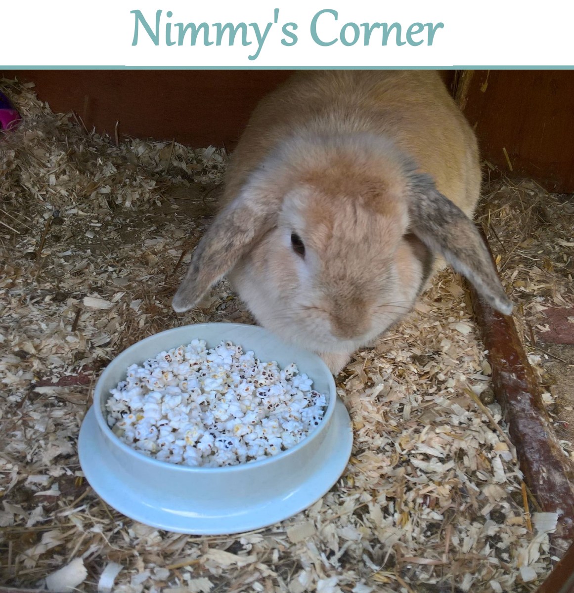 Nimmy’s Corner – a gentlewoman and a scholar
